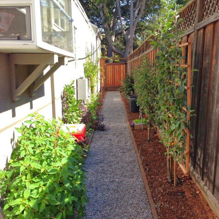 75 Beautiful Side Yard Garden Ideas & Designs - August 2022 | Houzz AU