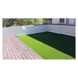 Specialty Projects - Modern - Landscape - Tampa - by Beach Bum Turf Co ...