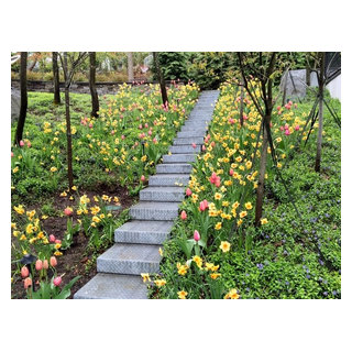 Spring Bulb Designs - Traditional - Landscape - Boston - by The Garden ...