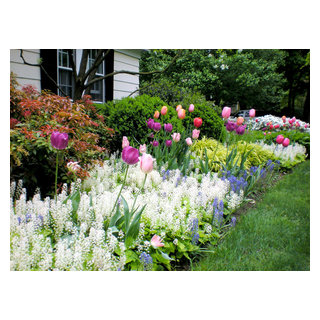 Spring Bulb Designs - Traditional - Landscape - Boston - by The Garden ...
