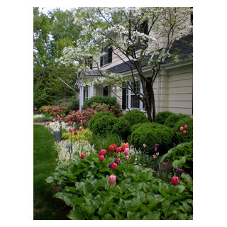 Spring Bulb Designs - Traditional - Landscape - Boston - by The Garden ...