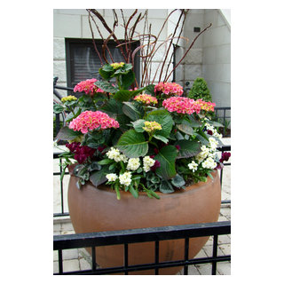 Spring Planters - Traditional - Landscape - Chicago - by KMS Gardens ...