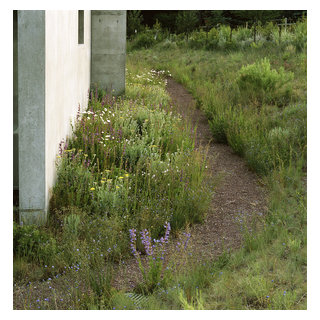 Spur Lane - Modern - Landscape - Other - by Native Landscapes | Houzz