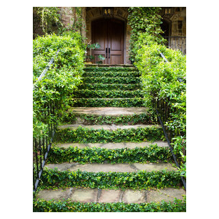 Stairways - Traditional - Landscape - Atlanta - by Ed Castro Landscape ...