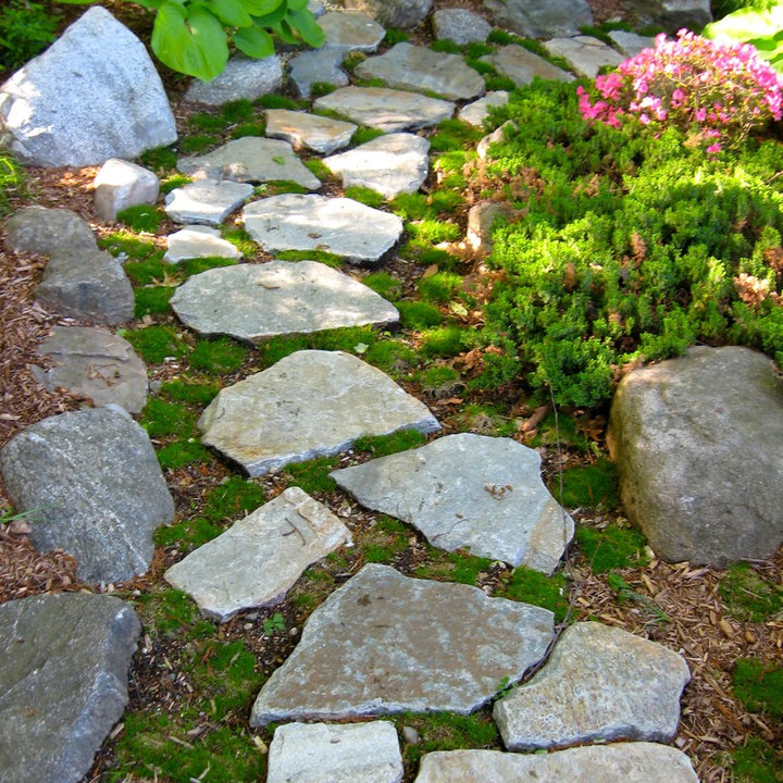 Stepping Stone Walkway - Photos & Ideas | Houzz