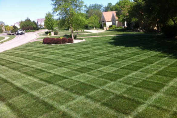 TENNESSEE GREEN LAWN AND LANDSCAPING - Project Photos & Reviews ...