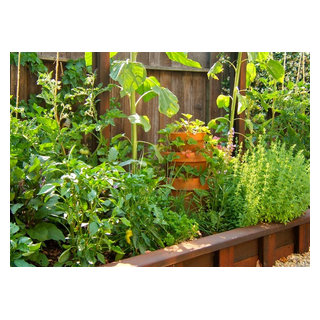 Strawberry Fountain - Rustic - Landscape - San Francisco - by Edger ...