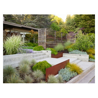 Strawberry - Modern - Landscape - San Francisco - by Huettl Landscape ...