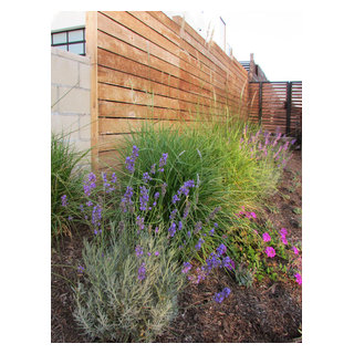 Stylish Digs in Echo Park - Modern - Landscape - Los Angeles - by Urban ...