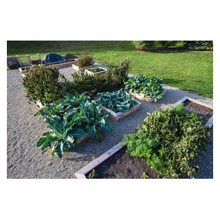 SubUrban Farm in the Making - Traditional - Landscape - Detroit - by ...