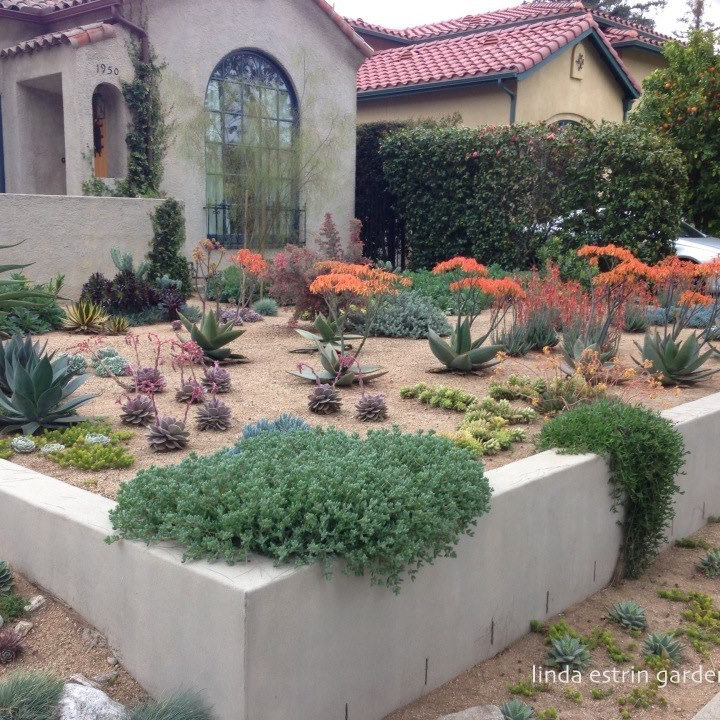 75 Beautiful Australian Native Garden Ideas & Designs - January 2023 ...