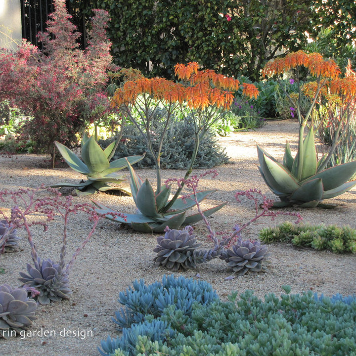 75 Beautiful Australian Native Garden Ideas & Designs - October 2022 ...