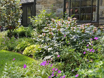 The Benefits of Wild Landscape Design