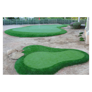 Synthetic grass - Traditional - Landscape - Phoenix - by Arizona Living ...