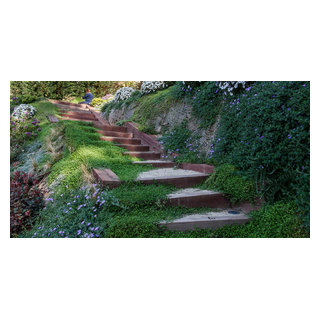 Talud con la vegetación desbordante - Mediterranean - Landscape - Other ...