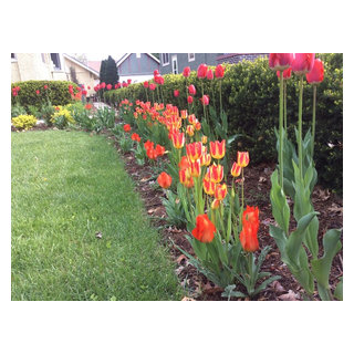 Taylor Front Yard - Traditional - Landscape - Other - by Sun or Shade ...