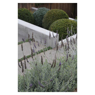 Terrace with planted joints - Modern - Landscape - San Francisco - by ...