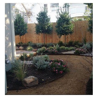 Texas Native Backyard - Landscape - Houston - by HDG Landscape Design ...