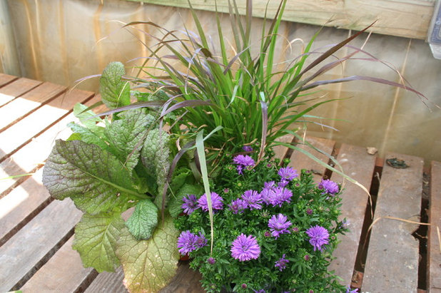 Container Garden Basics: Mix Textures to Catch the Eye