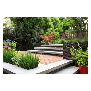 The Emerging Garden - Contemporary - Landscape - San Francisco - by ...