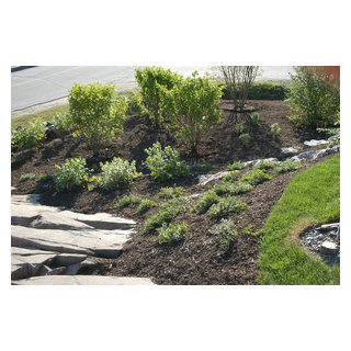 The natural ledge is exposed - Beach Style - Landscape - Portland Maine ...