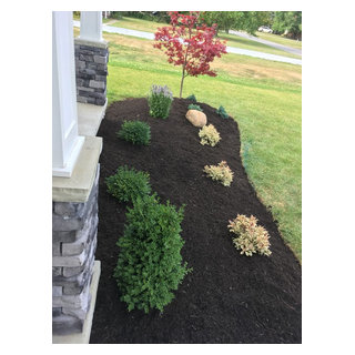 The Rise of the Maple - Traditional - Landscape - New York - by Gorski ...