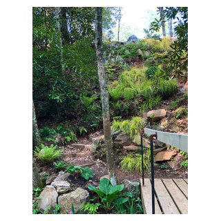 The switchback garden, two years after installation - Contemporary ...