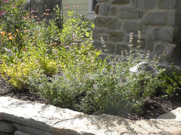 Traditional Landscape - Laurel Stevens