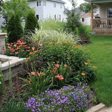 Reblooming Perennials - Photos & Ideas | Houzz