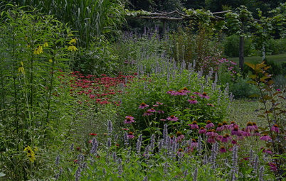 The Benefits of Wild Landscape Design