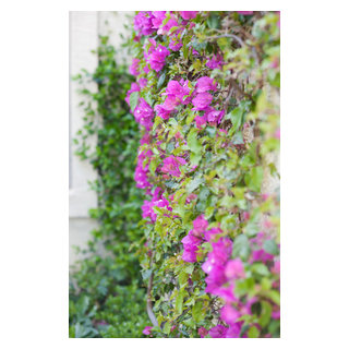 Traditional Landscape - Surprise - Traditional - Landscape - Phoenix ...