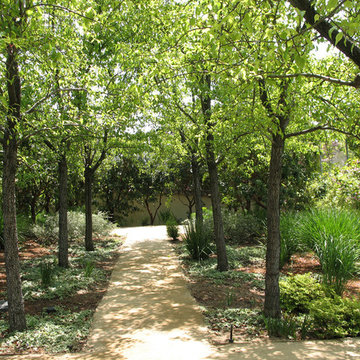 Tree Grove - Photos & Ideas | Houzz