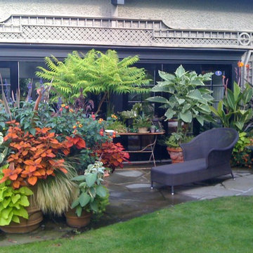 Best Tropical Container Plants - Photos & Ideas | Houzz