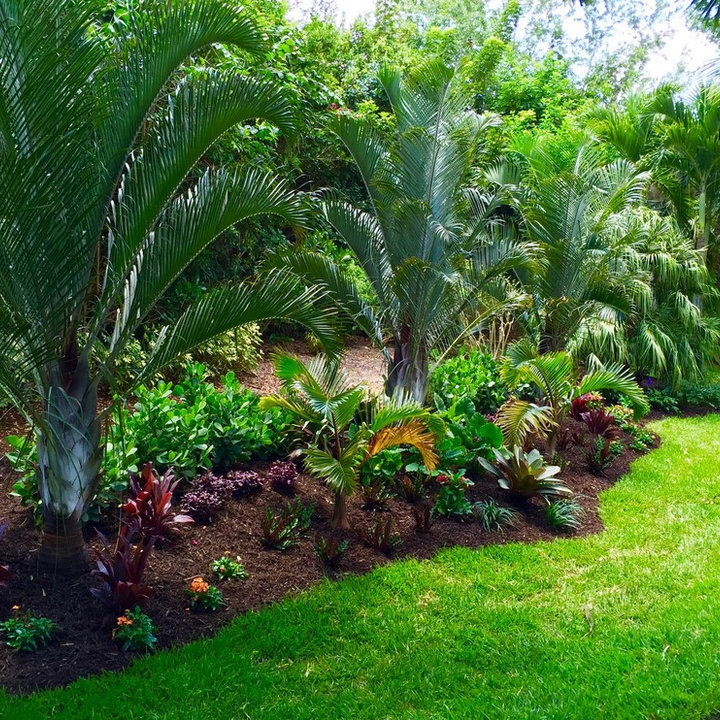 75 Beautiful Tropical Garden Ideas & Designs - May 2023 | Houzz AU