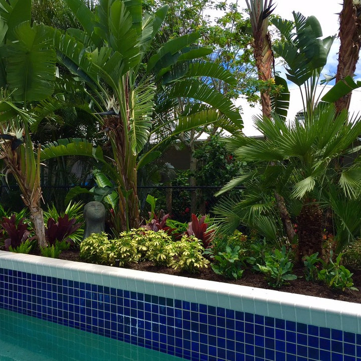 75 Beautiful Small Tropical Garden Ideas & Designs - July 2022 | Houzz AU