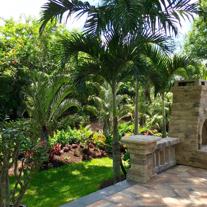 Palm Tree Backyard - Photos & Ideas | Houzz