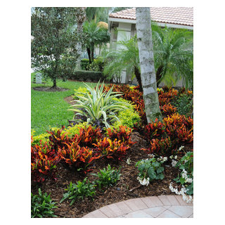 Tropical Landscape Color - Tropical - Landscape - Miami - by User | Houzz
