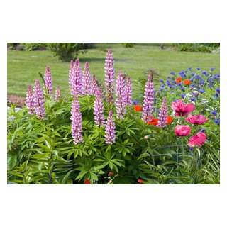 Tropical Landscape - Tropical - Landscape - Chicago | Houzz
