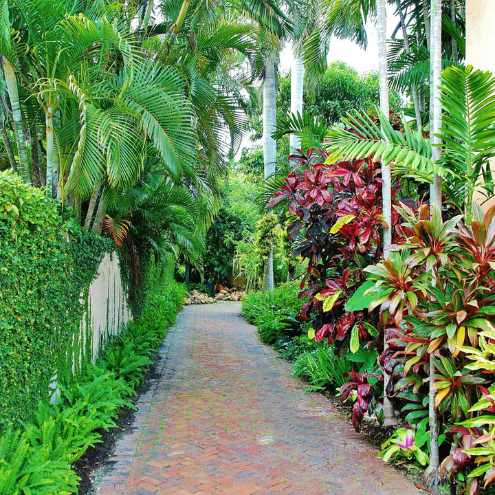 Miami Landscape - Photos & Ideas | Houzz
