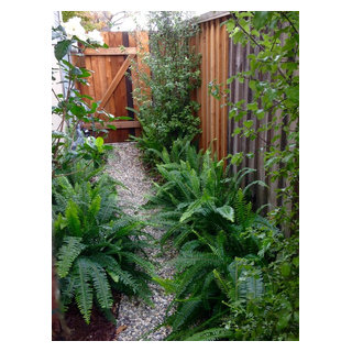 Tropical Retreat - Tropical - Landscape - Other - by Vision Garden ...