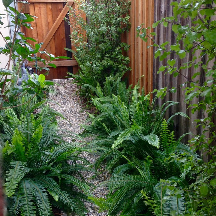 75 Beautiful Small Tropical Garden Ideas & Designs - July 2022 | Houzz AU