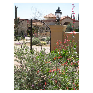 Tucson landscape design - Southwestern - Landscape - Phoenix - by ...