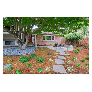 Under The Big Japanese Maple Tree - Traditional - Landscape - San ...