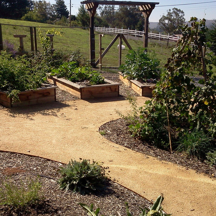 75 Vegetable Garden Landscape Ideas You'll Love - May, 2025 | Houzz