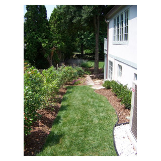 Vegetative Screen - Traditional - Landscape - DC Metro - by Hughes ...