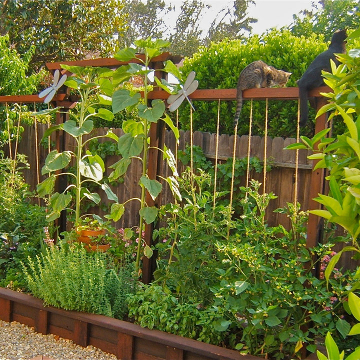 75 Most Popular 75 Beautiful Back Garden Ideas and Designs Design Ideas ...