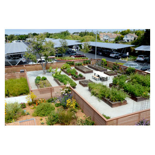 VF Outdoor Headquarters - Modern - Landscape - San Francisco - by April ...