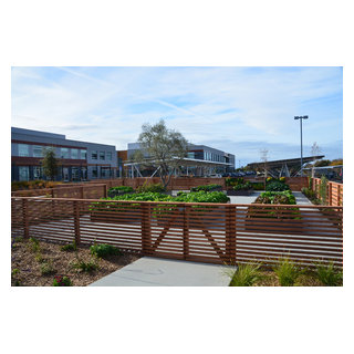 VF Outdoor Headquarters - Modern - Landscape - San Francisco - by April ...