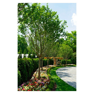 Vibrant Surroundings - Contemporary - Landscape - DC Metro - by ...