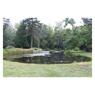 Water Features - Landscape - New York - by Frank Suppa Landscaping | Houzz